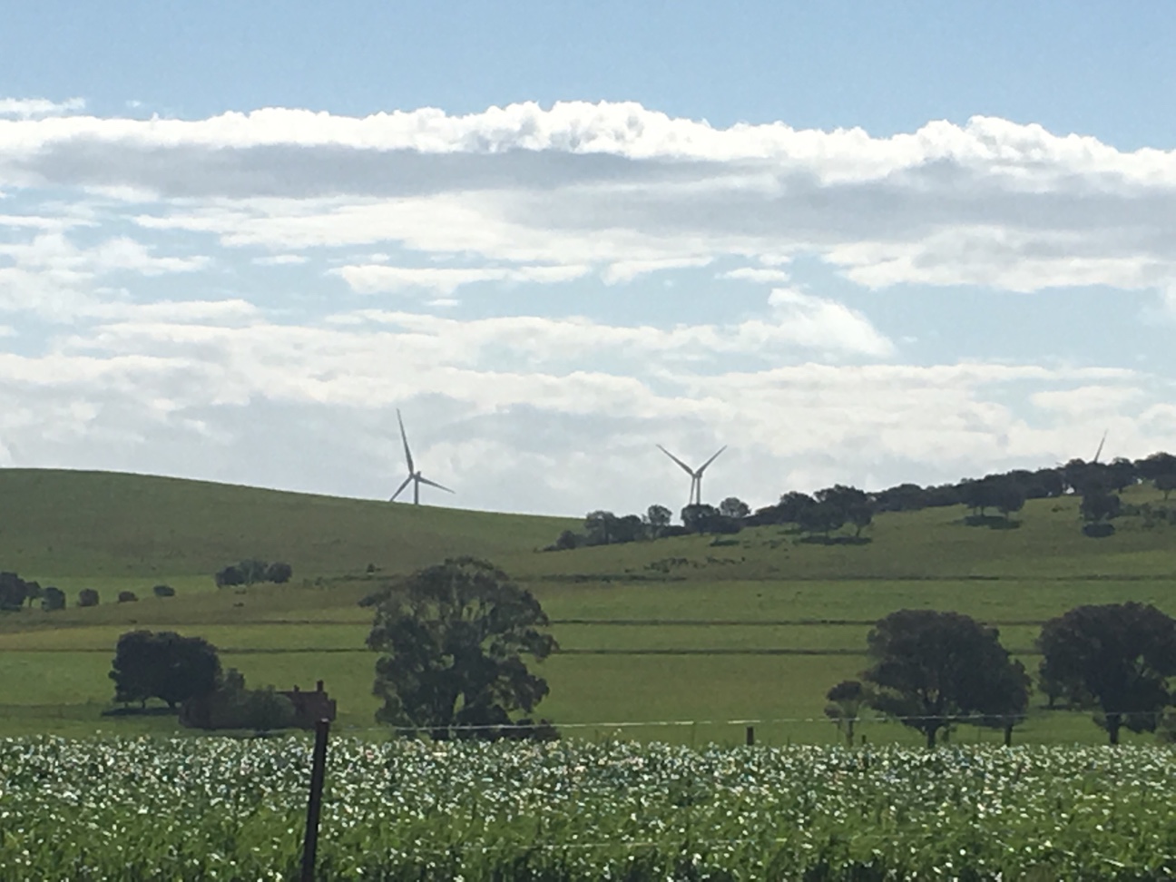 1414degrees.com.au – Energy for all, at all times